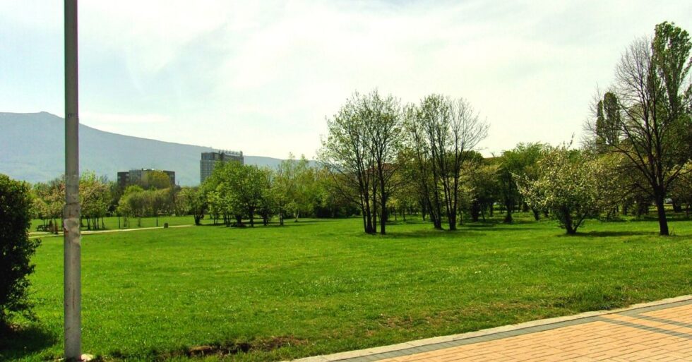 Biological Turf and Shrub Treatment Improves City Hall Landscaping ...